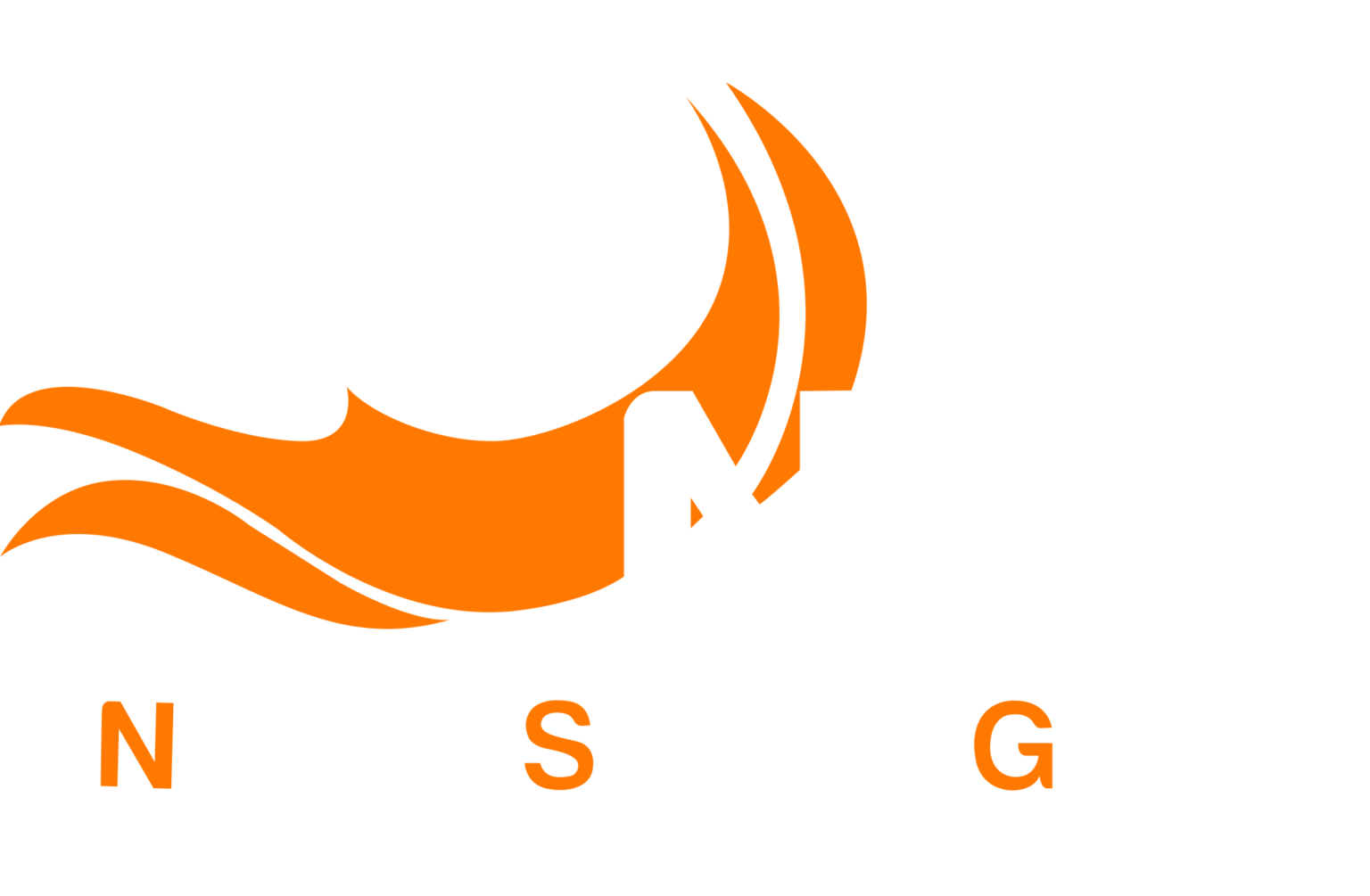 évènements | NSG - Natation Sportive Genève